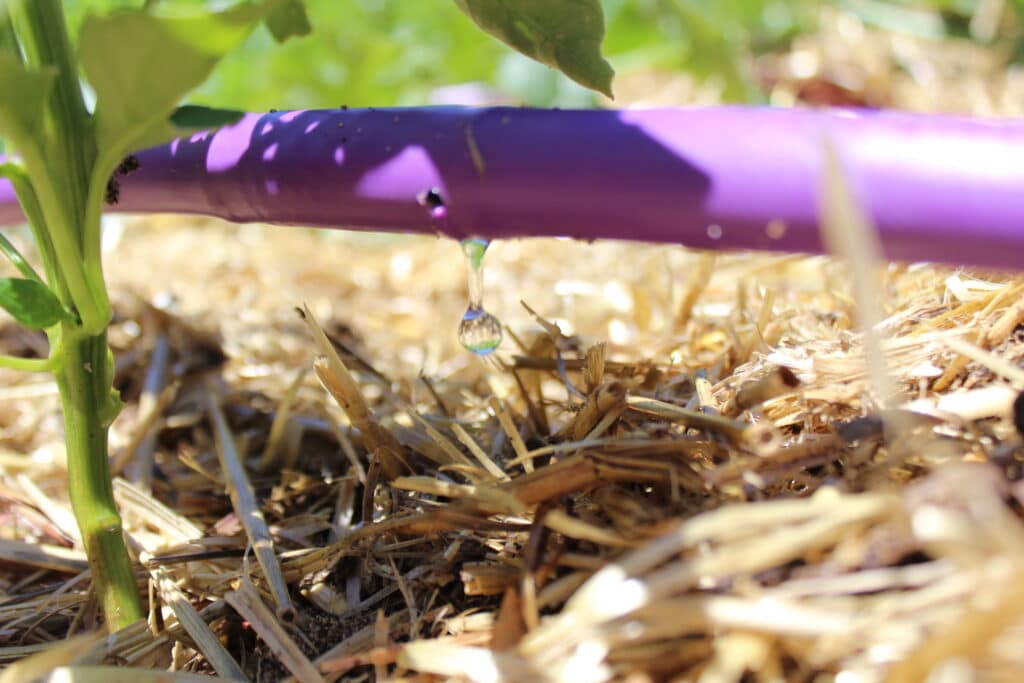 Water Wally » Composting Toilets & Wastewater Management Solutions